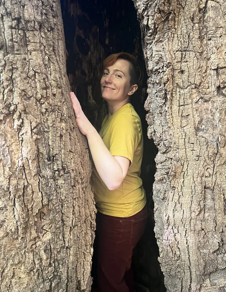 OUT Arts & Culture - LGBTQ+ Arts and Humanities | Pinellas County